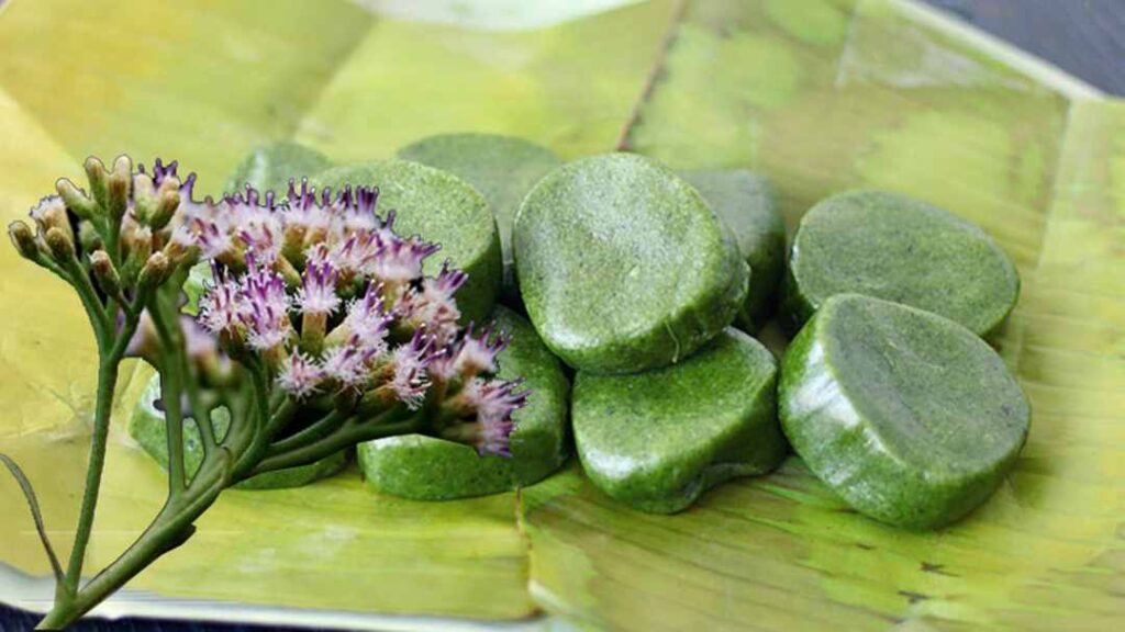 Cây Cúc Tần - Loại cây thần ít người biết đến công dụng - Dongy365 - Các bài thuốc chữa bệnh quý báu